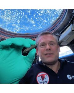 Moesgaard Museum webshop